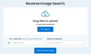 Find the Right Image Fast with Visual Search and Aesthetic Filters